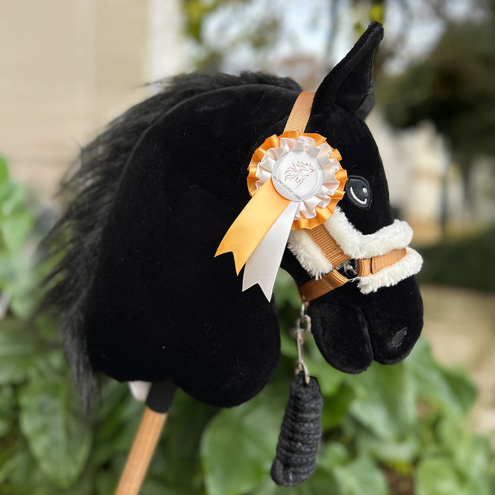 Ensemble Hobby Horse Stormy noir avec filet, licol doré et flot - Tail ...